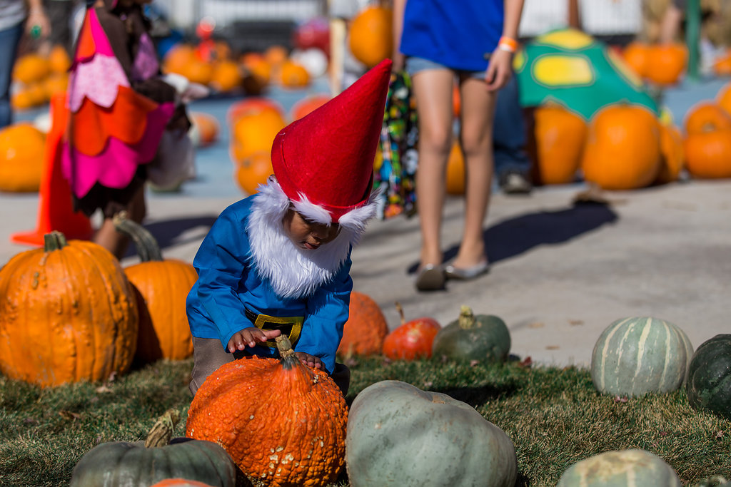 Celebrate Fall Fun in Castle Rock - Meadows At Castle Rock