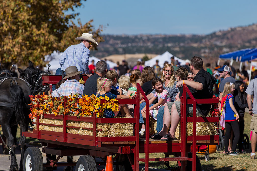 Celebrate Fall Fun in Castle Rock - Meadows At Castle Rock